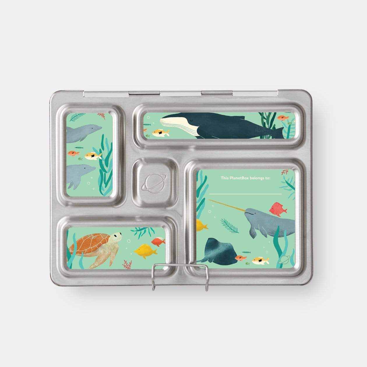 These Magnets Make Steel Boxes Cooler - The Lunchbox Collection